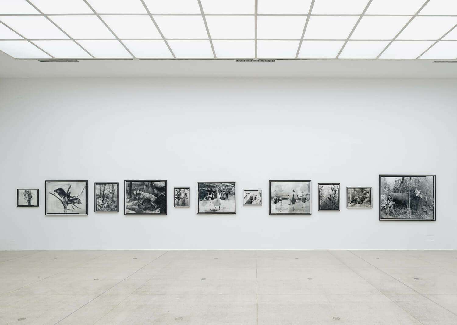 Gerard Byrne | Artists | Lisson Gallery