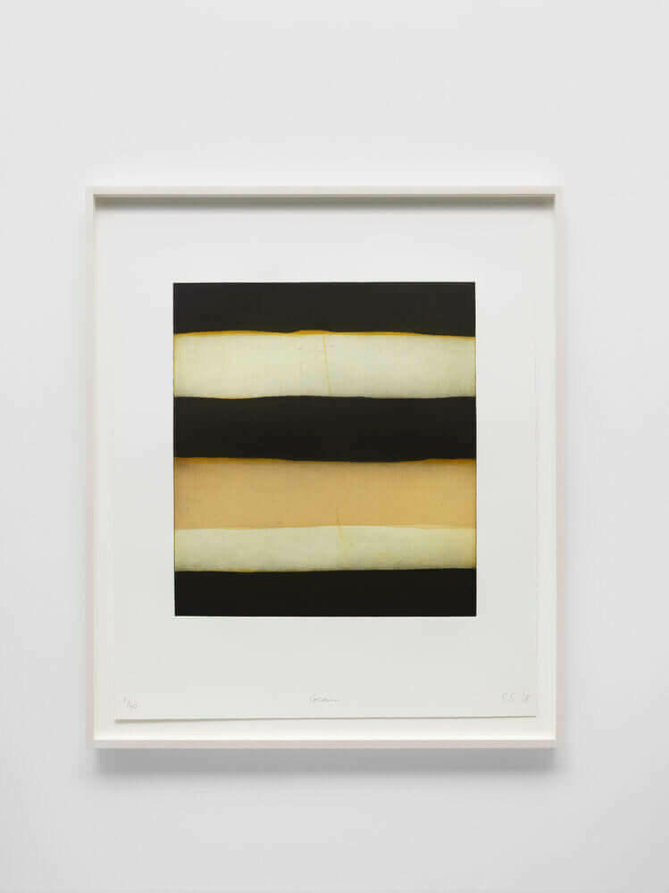 Sean Scully | Artists | Lisson Gallery