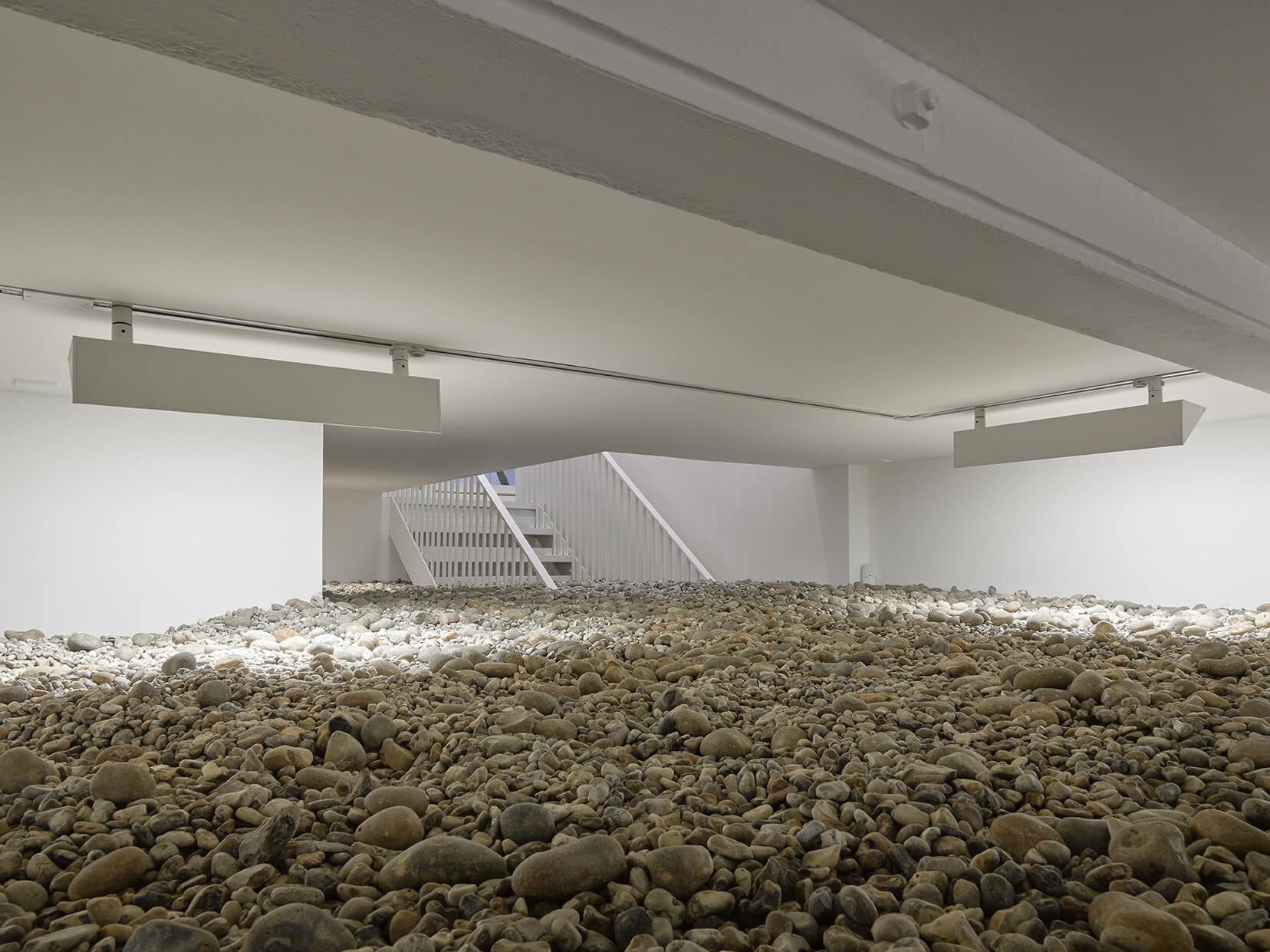 Ryan Gander: Fieldwork | Exhibitions | Lisson Gallery